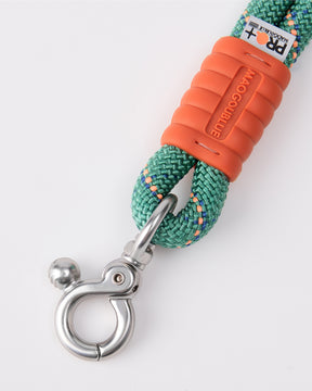 Marshmallow Plus Dog Leash-Chartreuse Green – Maogoublue